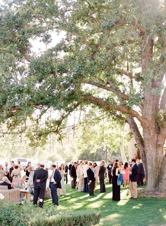 Wedding Website Wording Examples for Tricky Situations